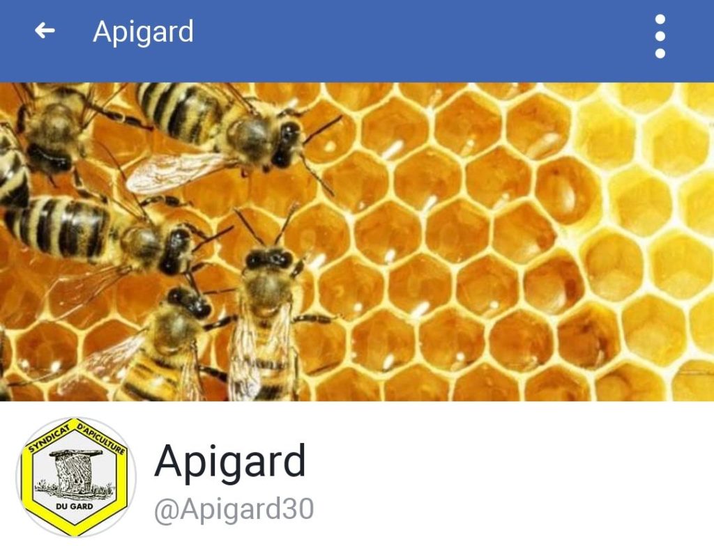 A la une - Syndicat d'apiculture du Gard