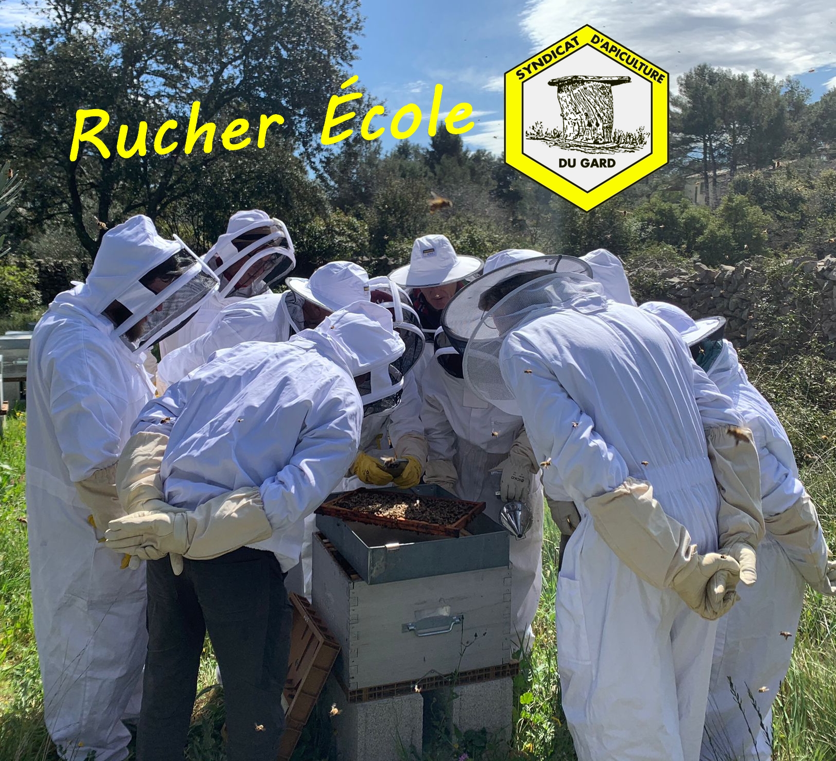 Stage d'initiation à l'apiculture - Syndicat d'apiculture du Gard